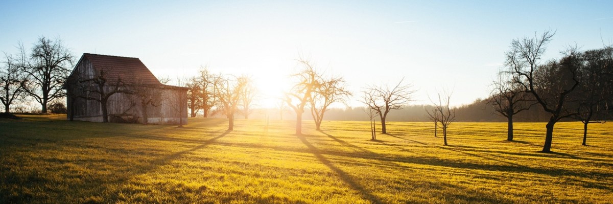 The Revelations of Roland Buck | Inspiring Your Faith